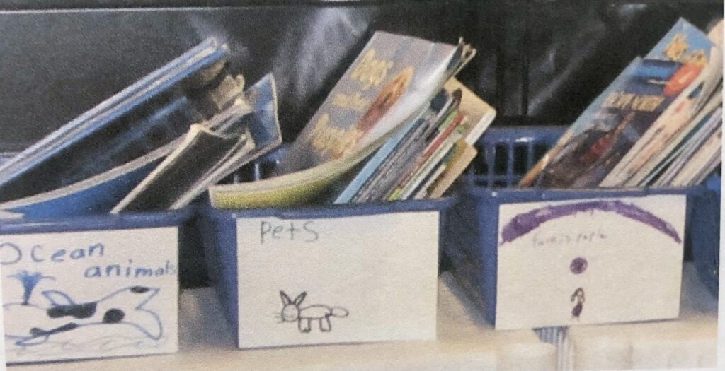 The Secret to Setting Up Your Library for MAXIMUM Student Impact ...